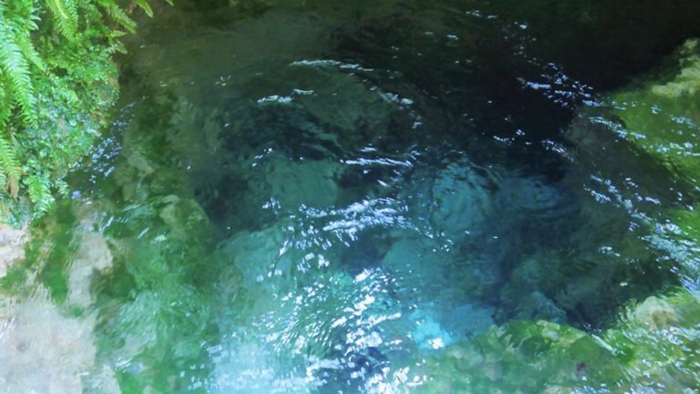 大出水の湧水 霧島山麓に湧き出す豊富な湧水を見る観光地│harada Office Weblog